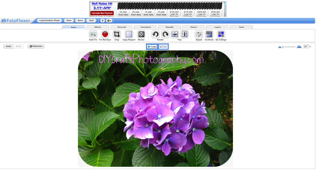 5 Best Web Apps for Free Photo Editing Online 2013