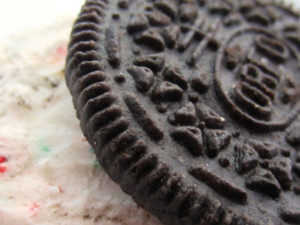 12 Tips for Photographing Cookies